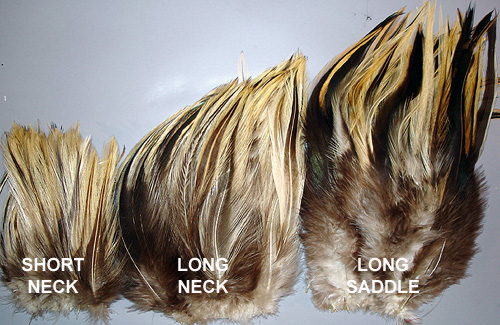 Badger_Hackle – FeathersMC