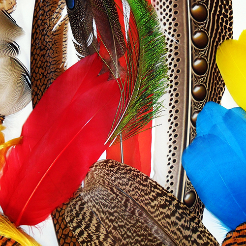 Cat-Feather Image 2 – FeathersMC