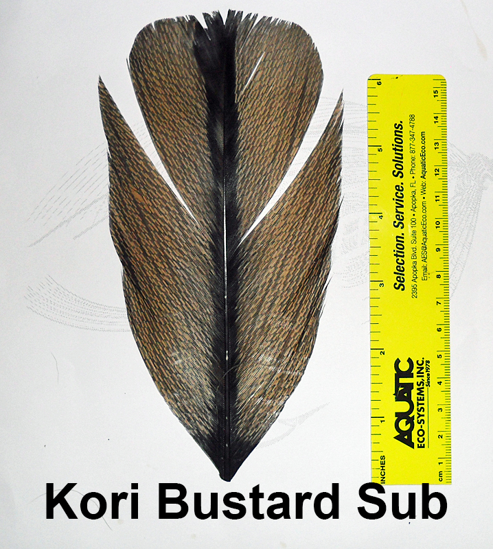 Kori Bustard Sub – FeathersMC